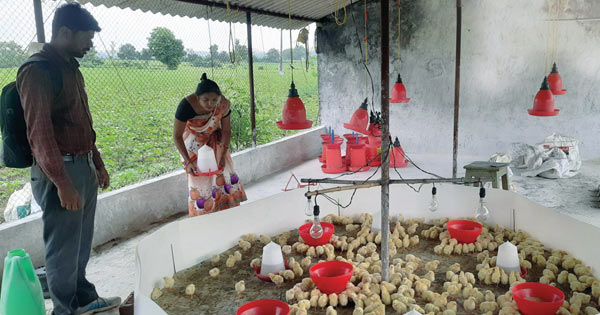 Fowl play | Horizons